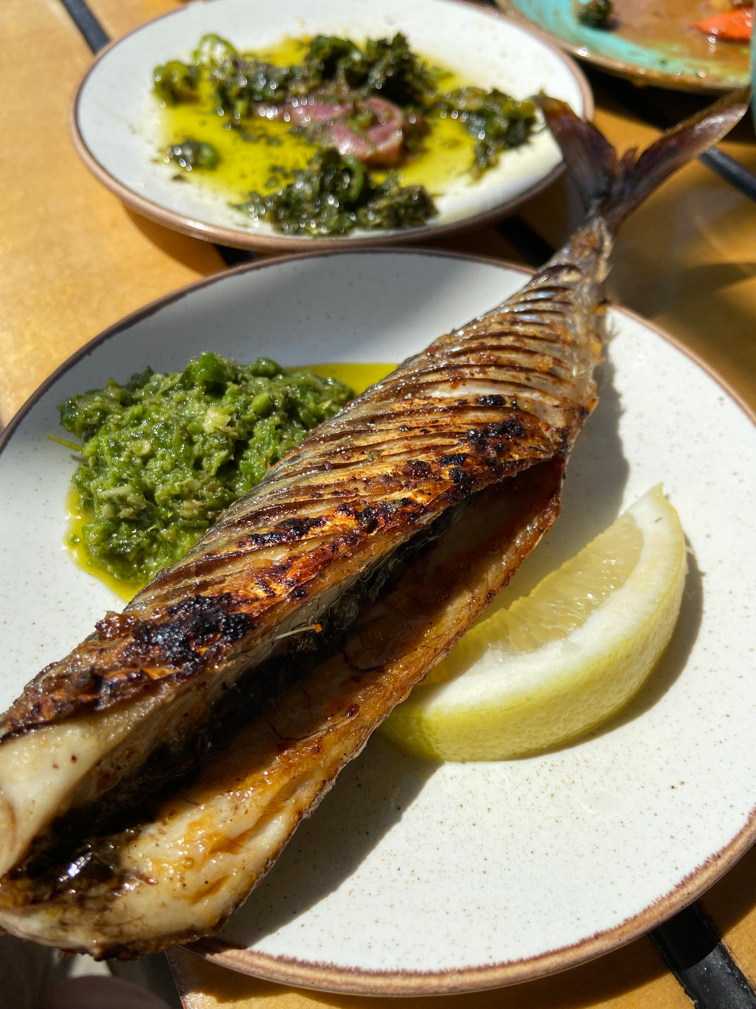 The official Shipton Abbott village website